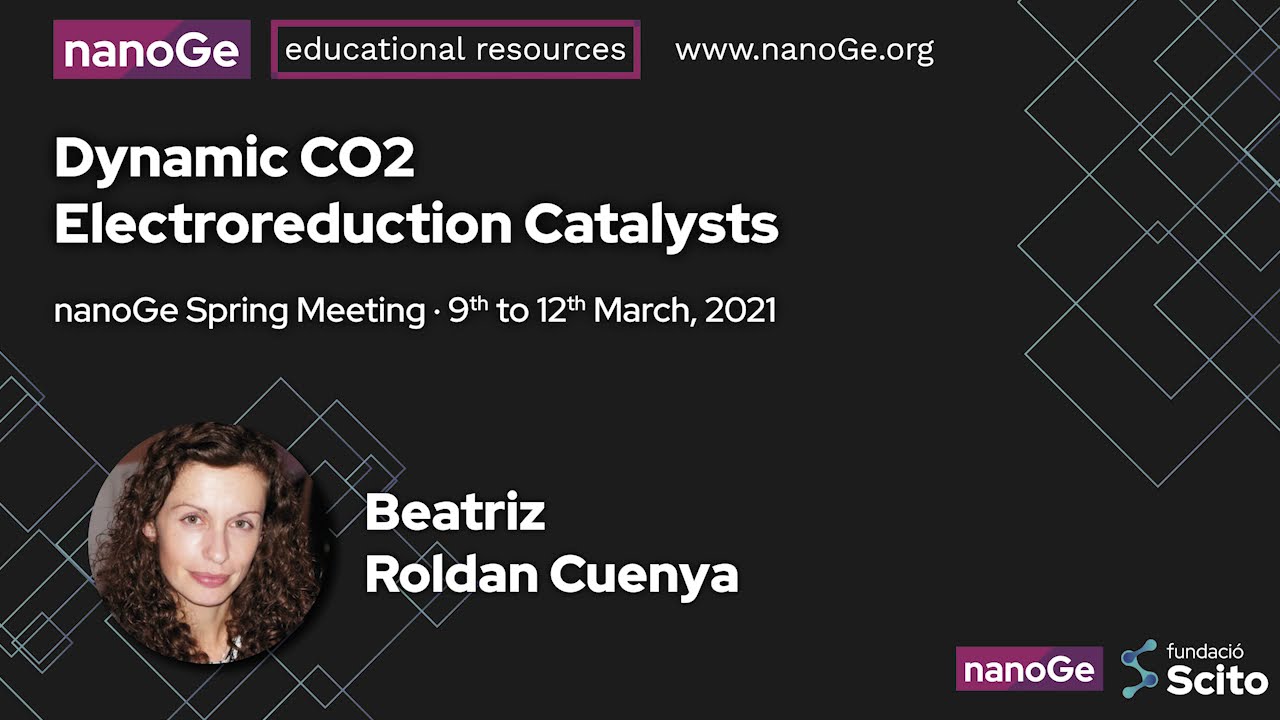 Beatriz Roldan Cuenya - nanoge video resources